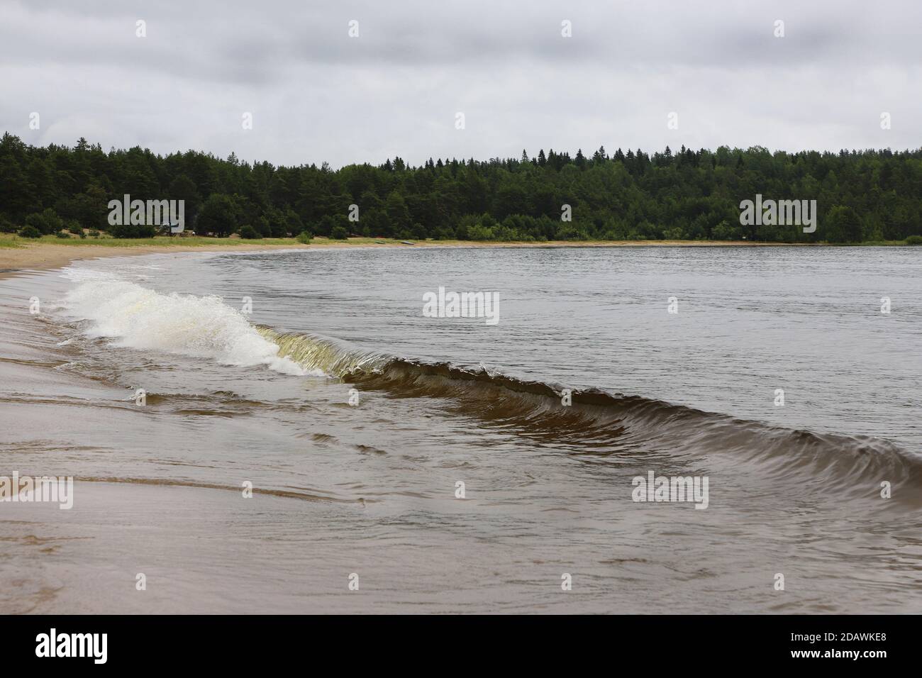 Lakeshore photography hi-res stock photography and images - Alamy