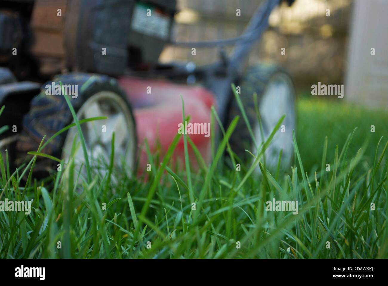 Ground level view of a lawnmower in tall grass Stock Photo - Alamy