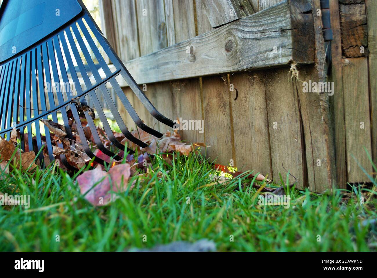 Pile of leaves and a rake leaning against a fence fall background Stock ...