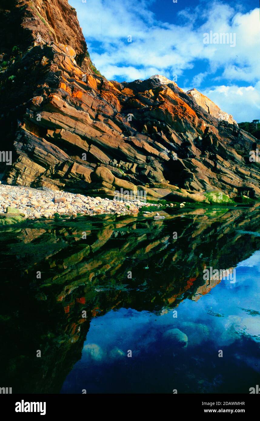 Devonian period hi-res stock photography and images - Alamy