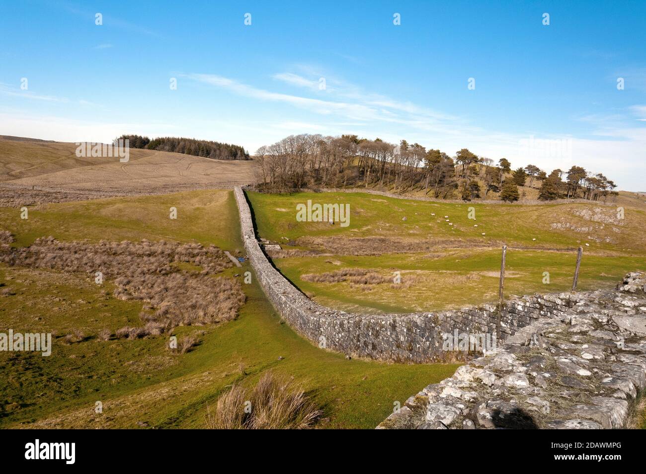 Hadrian's Wall that the Romans built a coast-to-coast wall to protect ...