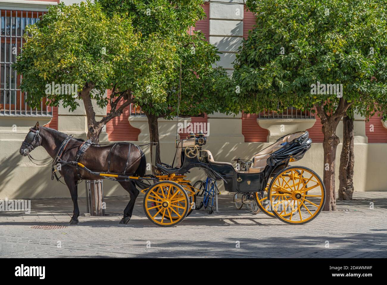 Horse-drawn carriages for hire at the catedral of Seville, Andalusia ...