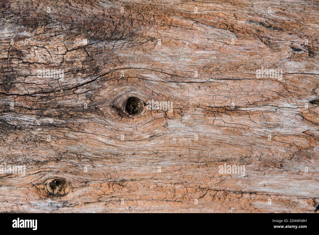 Beautiful pattern on wood texture background Stock Photo - Alamy