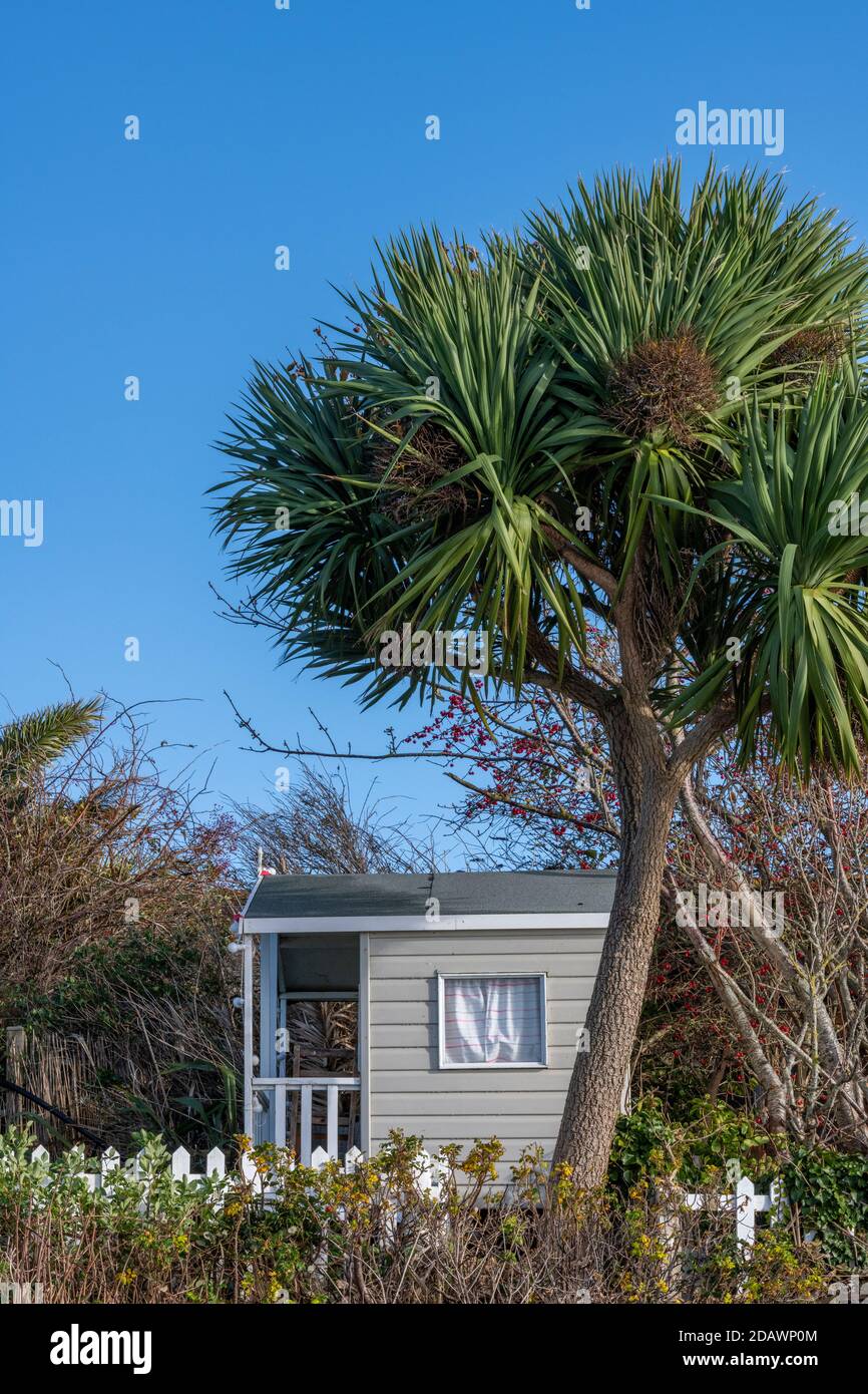Garden office shed hi-res stock photography and images - Alamy