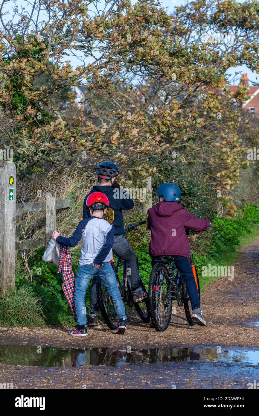 three young boys on their bicycles on a cycle track on an autumn day ...