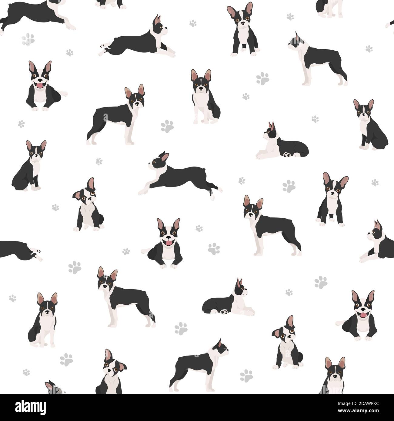 Boston terrier seamless pattern. Dog healthy silhouette and yoga poses ...