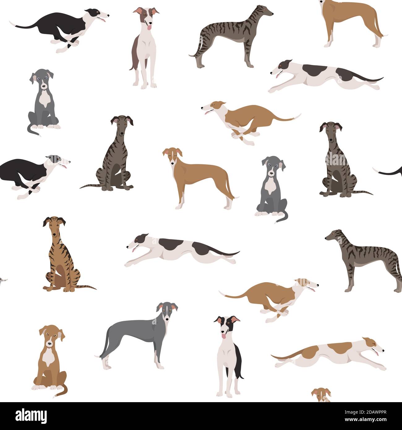 English greyhound dogs in different poses. Greyhounds seamless pattern ...