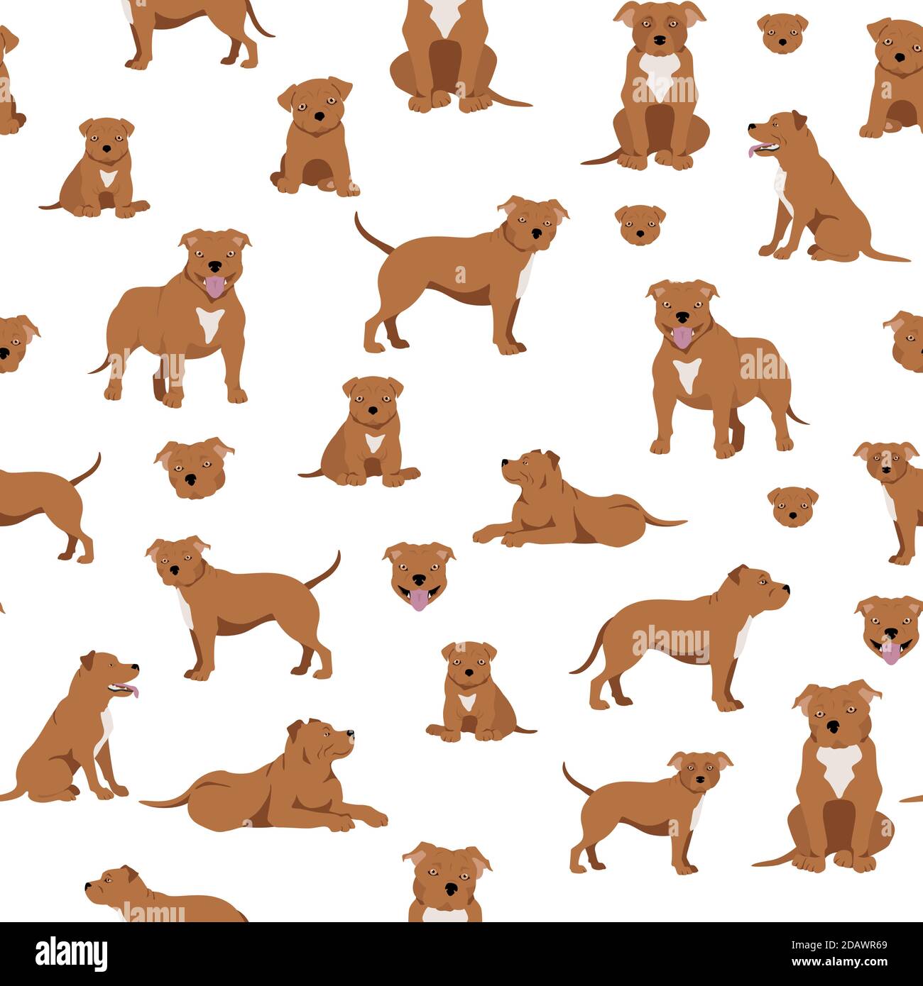 Staffordshire bull terrier seamless pattern. Staffy characters set ...