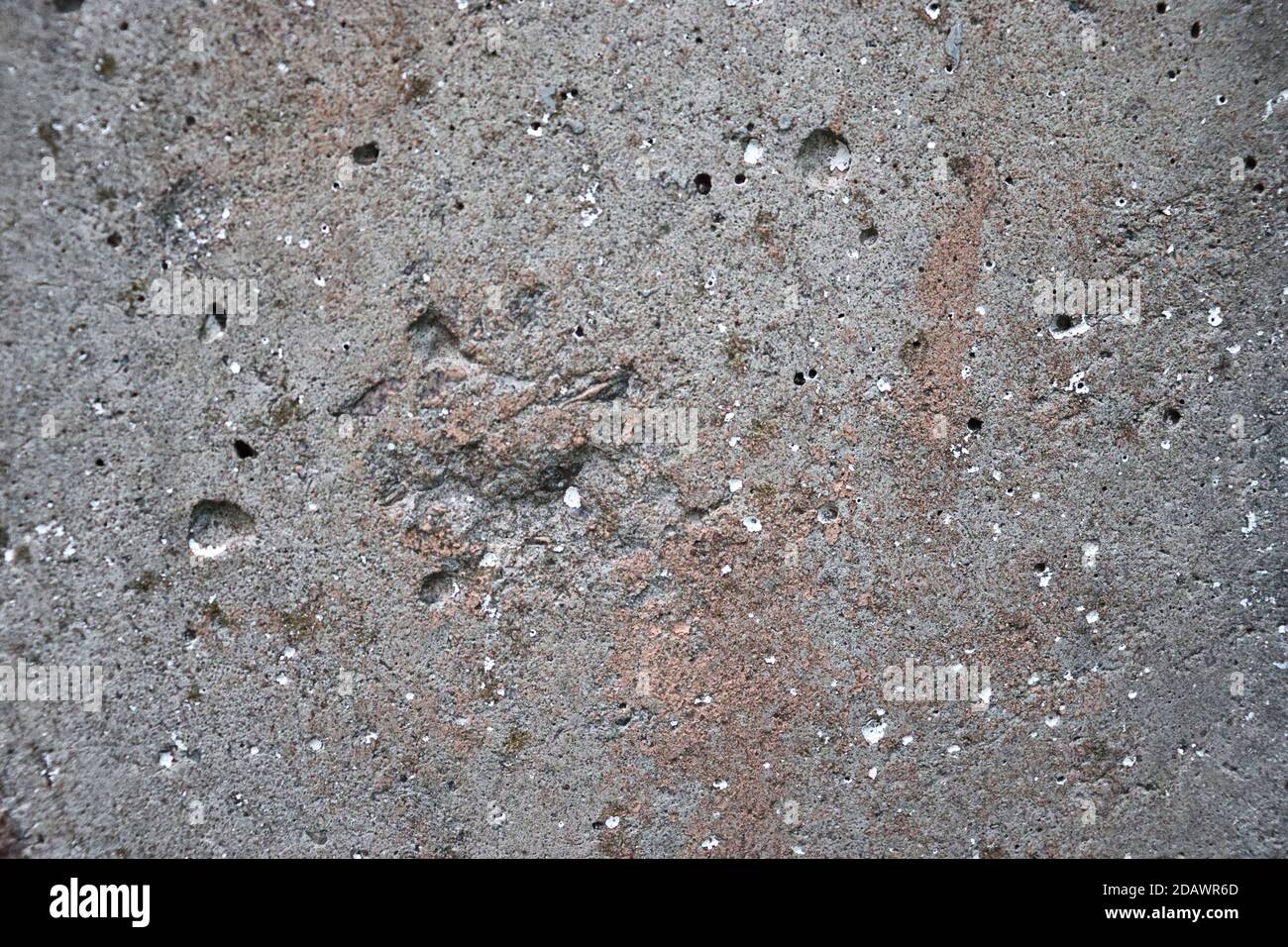 Beautiful gray cement texture. Abstract wall background. Old concrete ...