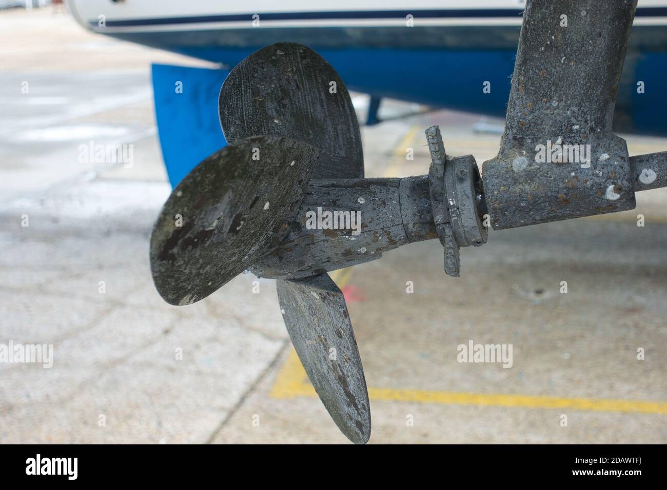 The propeller of a sailing yacht with three blades and a rope cutter ...