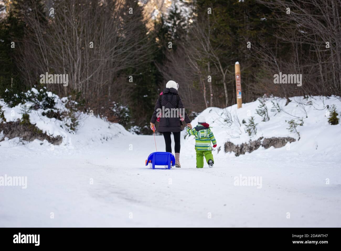 View from behind of a mother walking in snowy nature with her toddler ...