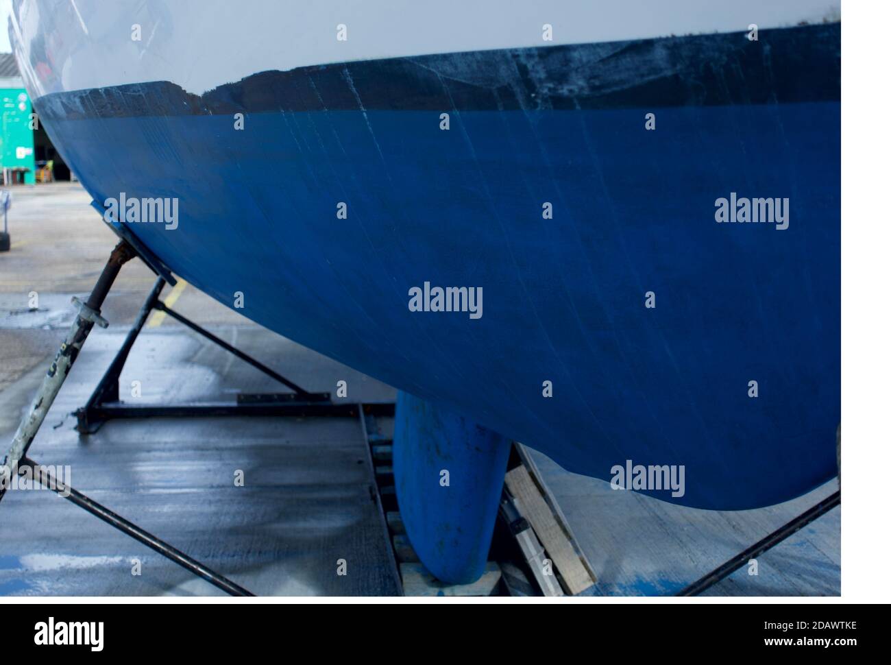 Subaquatic organisms hi-res stock photography and images - Alamy