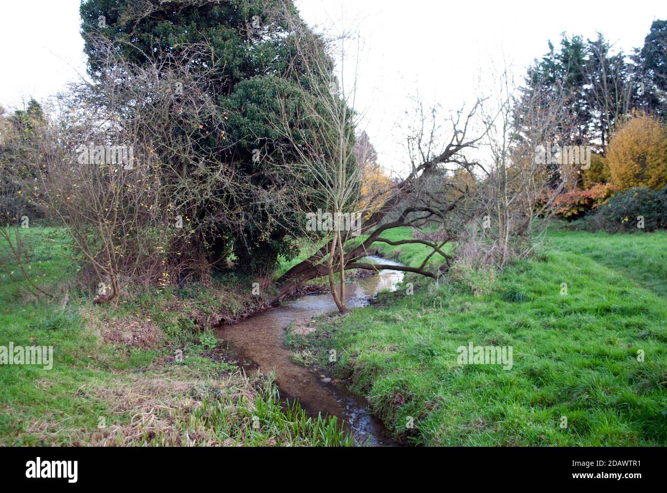The Beck, a stream running through Horseshoe Hollow nature reserve in ...