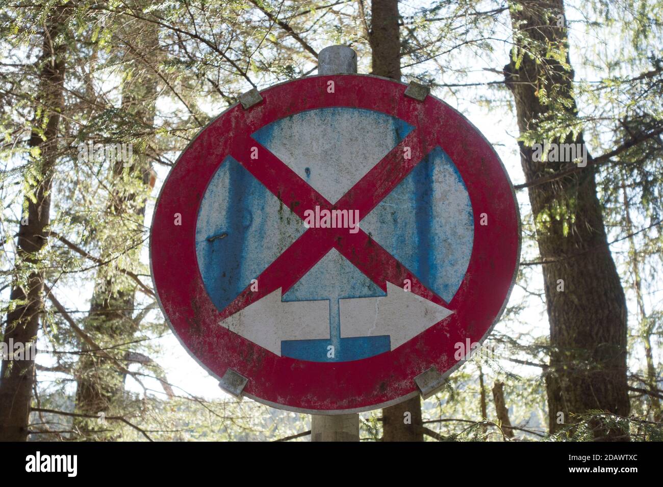 no parking and no stopping traffic sign on the street Stock Photo - Alamy