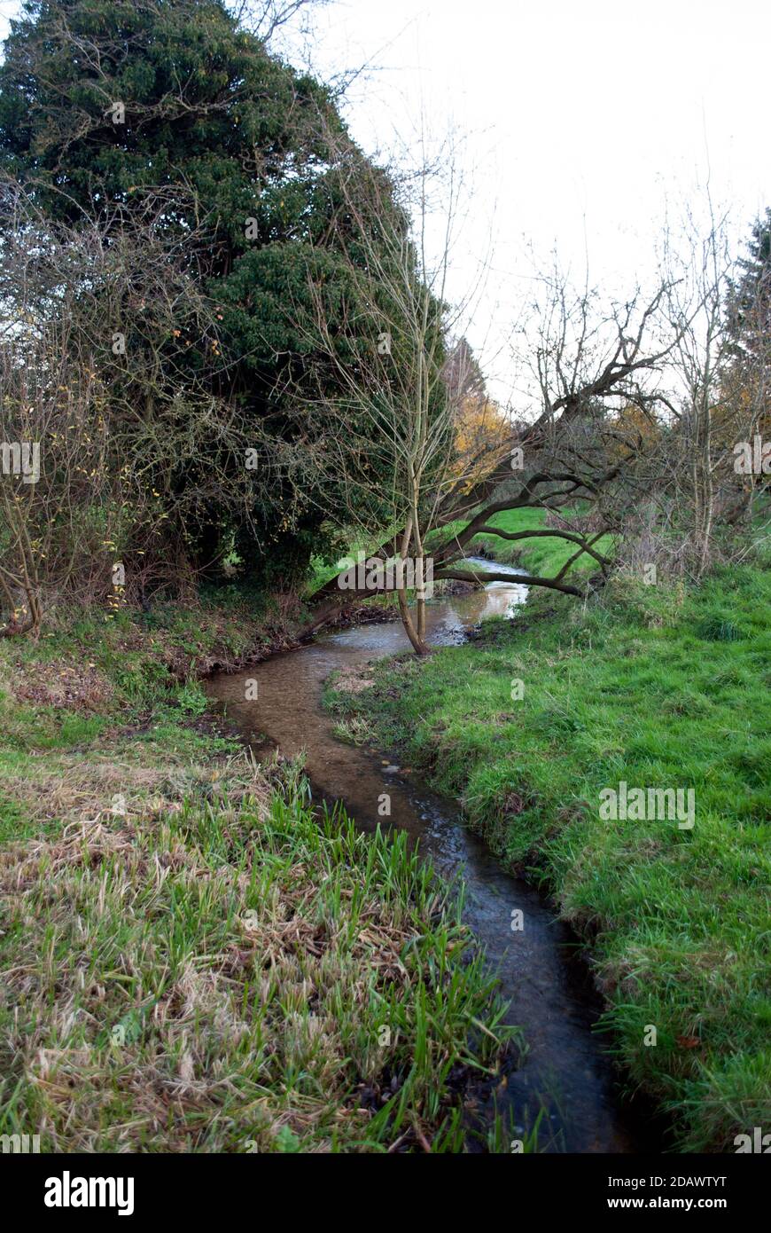 The Beck, a stream running through Horseshoe Hollow nature reserve in ...