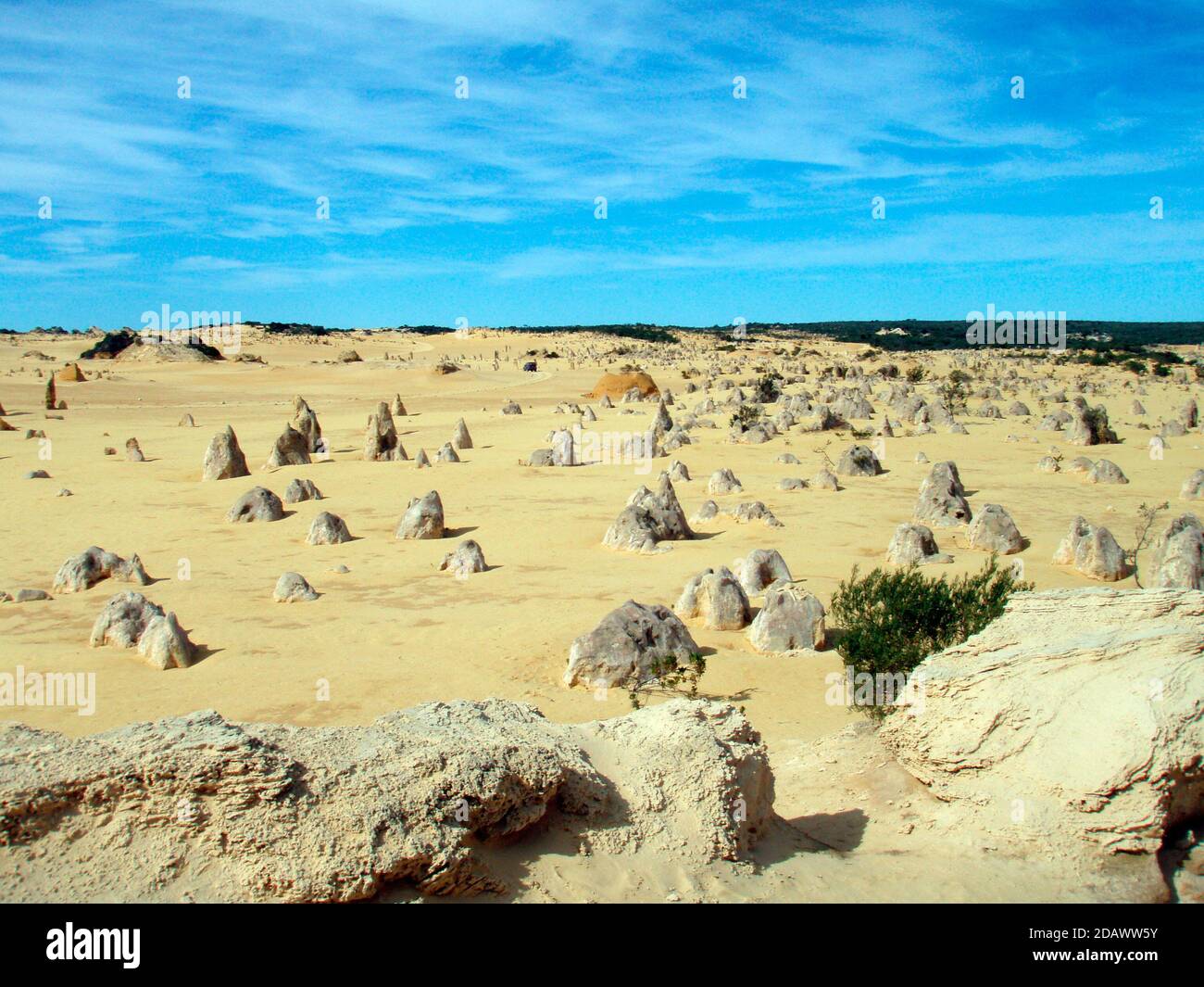stone or rock surface pattern, textures and structures in nature Stock ...