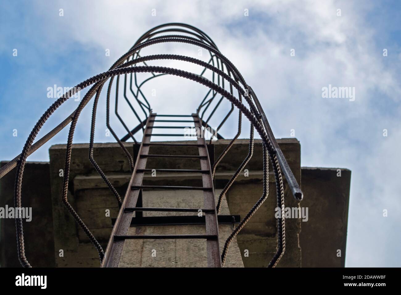 A metal ladder running vertically from the bottom up over a concrete ...