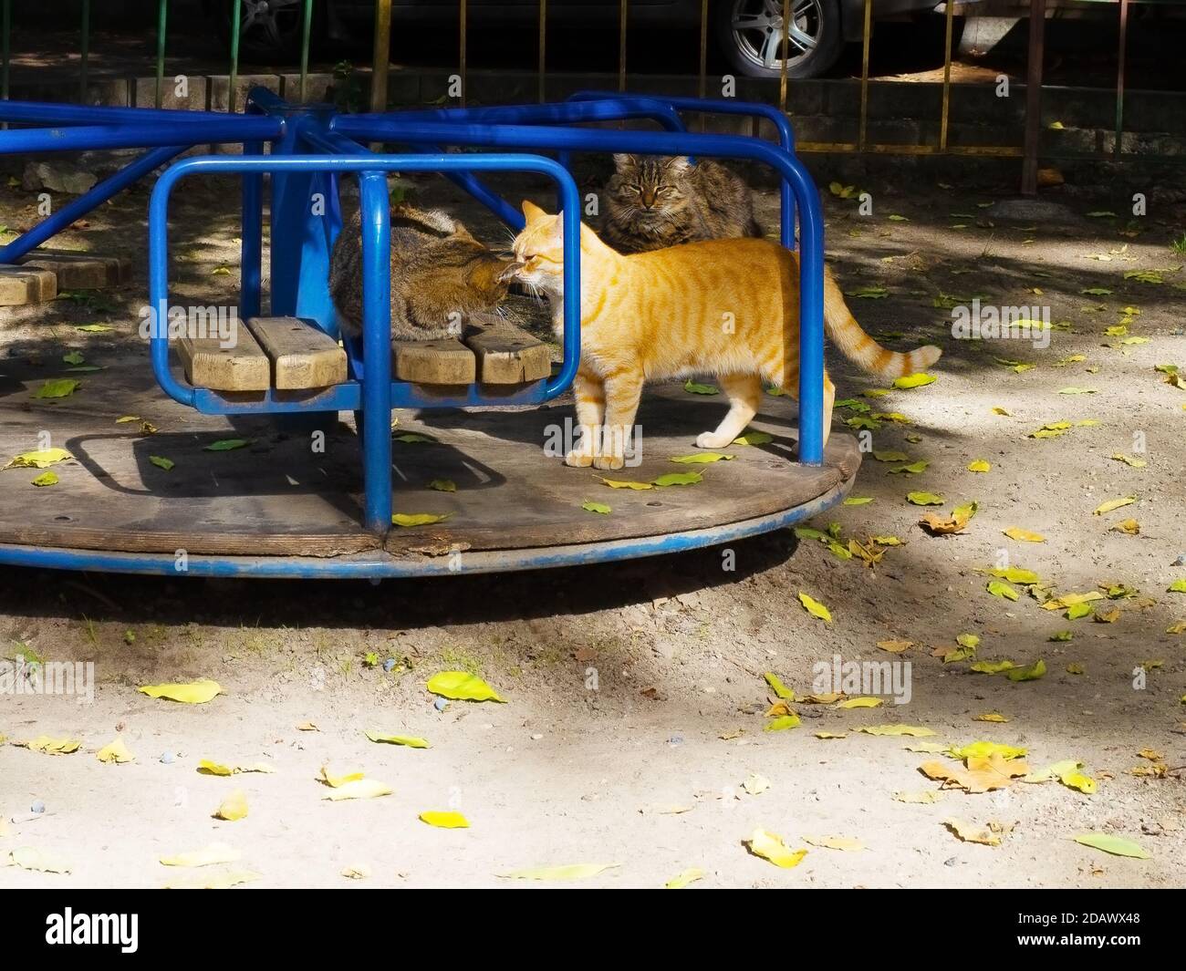 Rotating playground equipment hi-res stock photography and images - Alamy