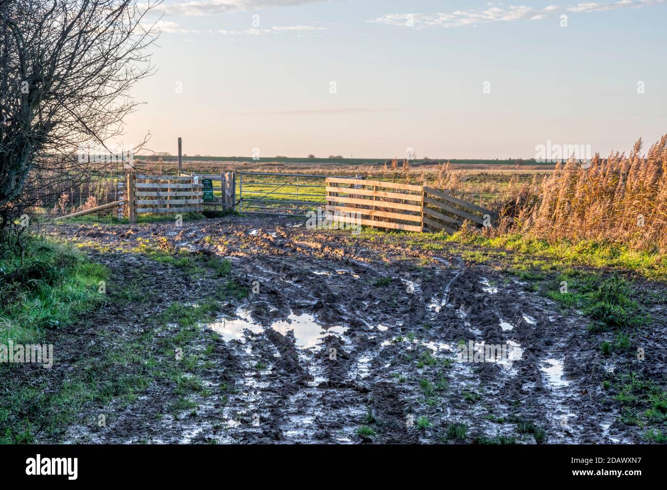 Farmtrack hi-res stock photography and images - Alamy