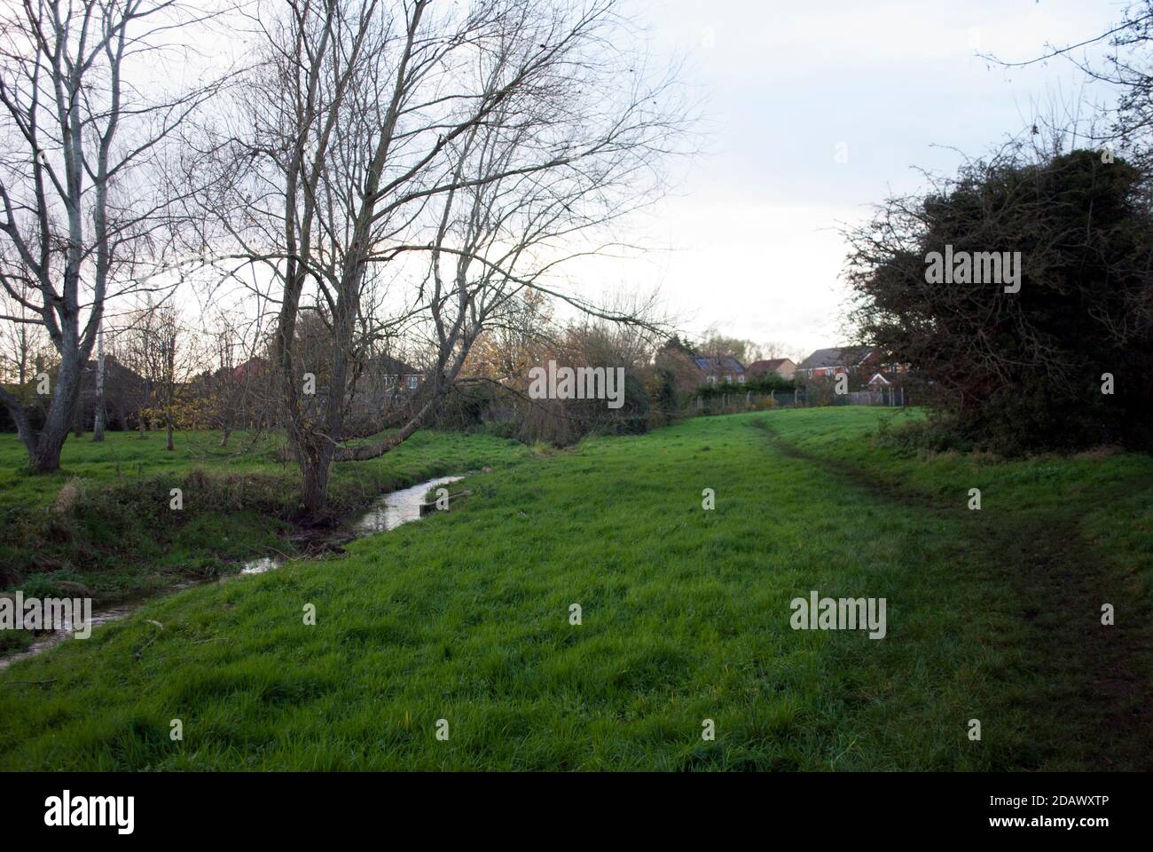 The Beck, a stream running through Horseshoe Hollow nature reserve in ...