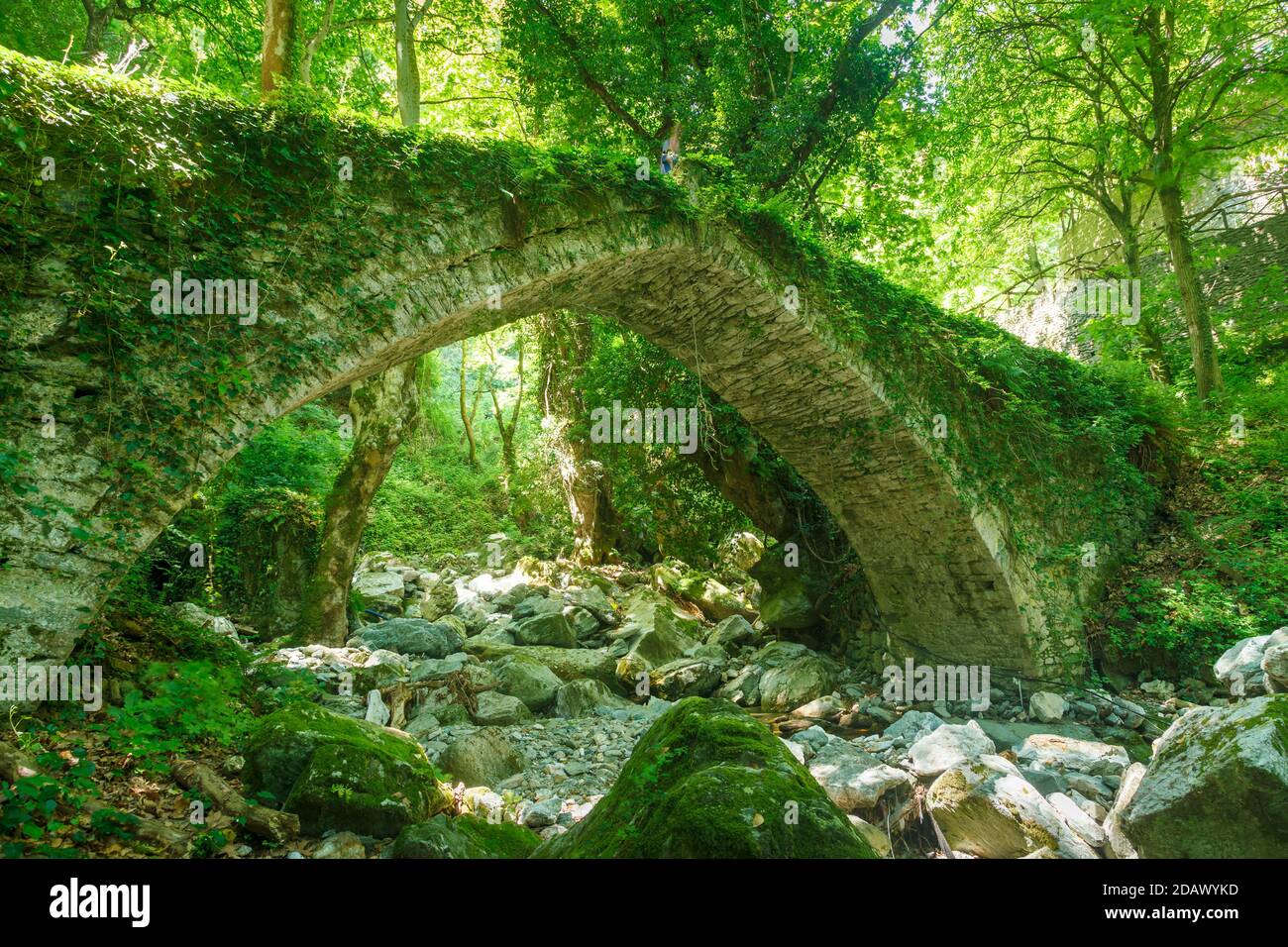 The beautiful stone bridge of Tsagkarada (constructed in 1787), in ...