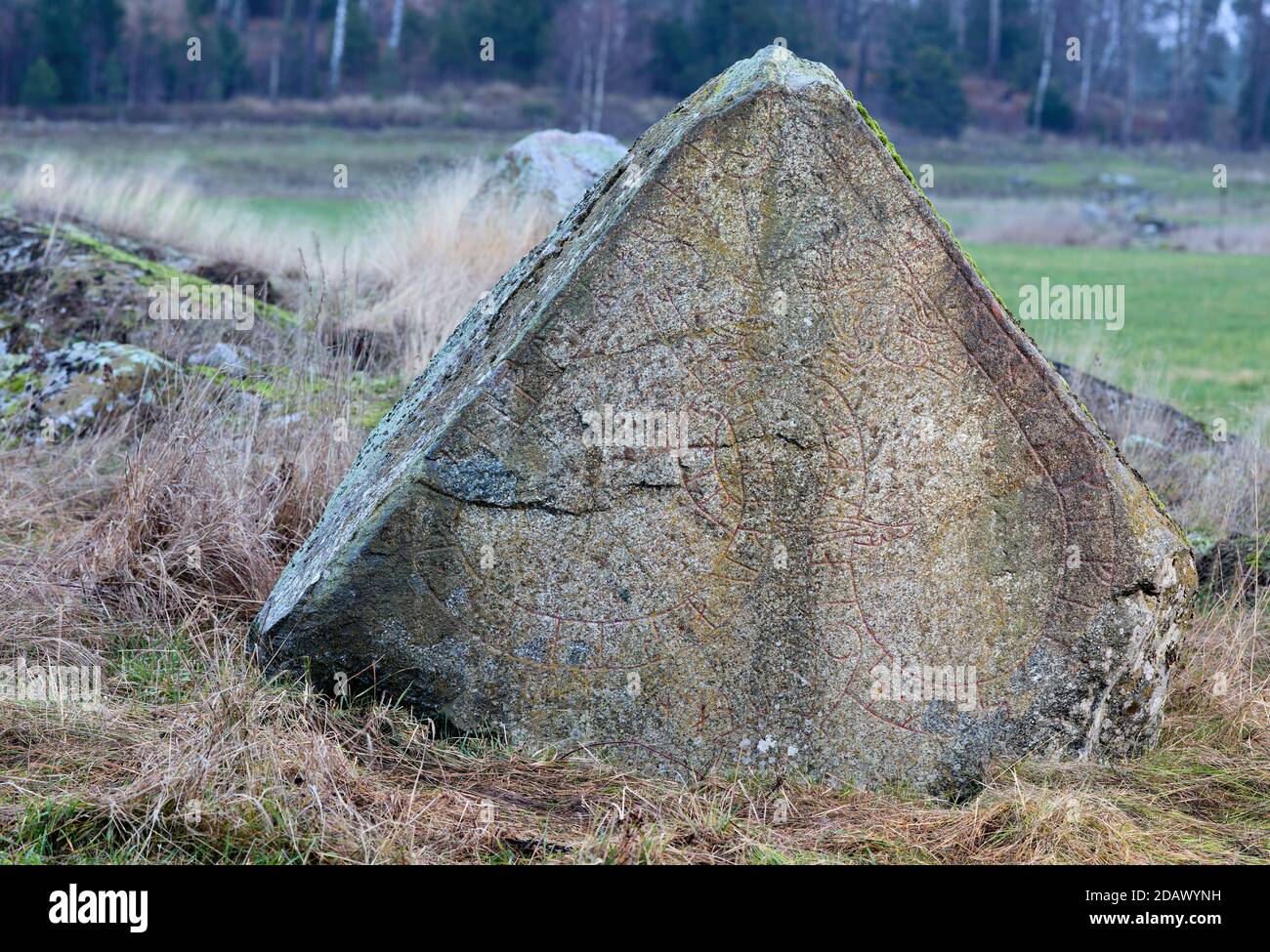 Runenstein hi-res stock photography and images - Alamy