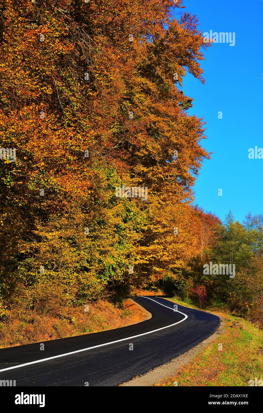 Closeup of a smooth road in the countryside, autumn nature with ...