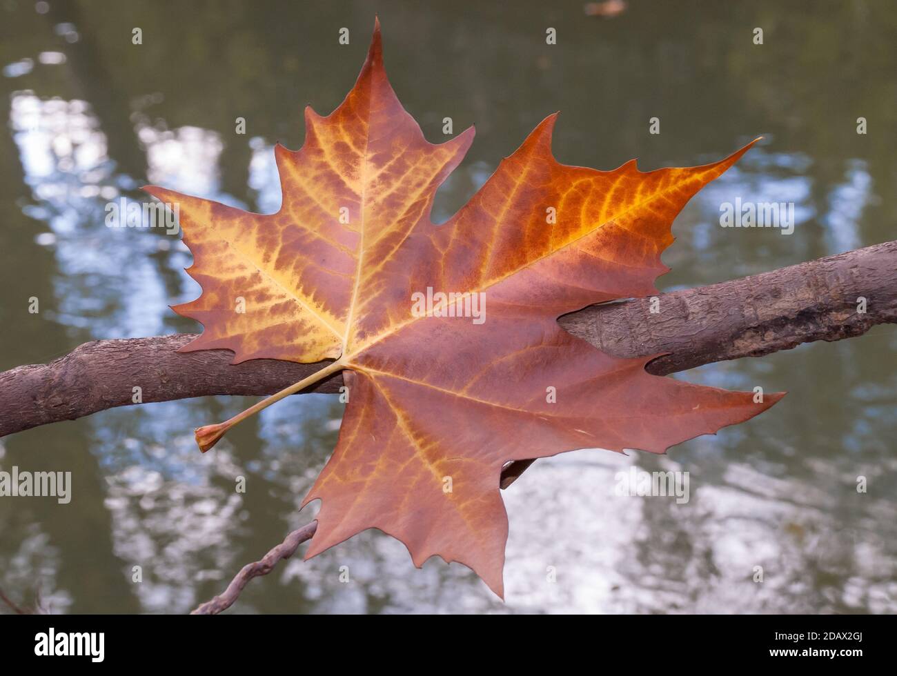 Fall of the plane hi-res stock photography and images - Alamy
