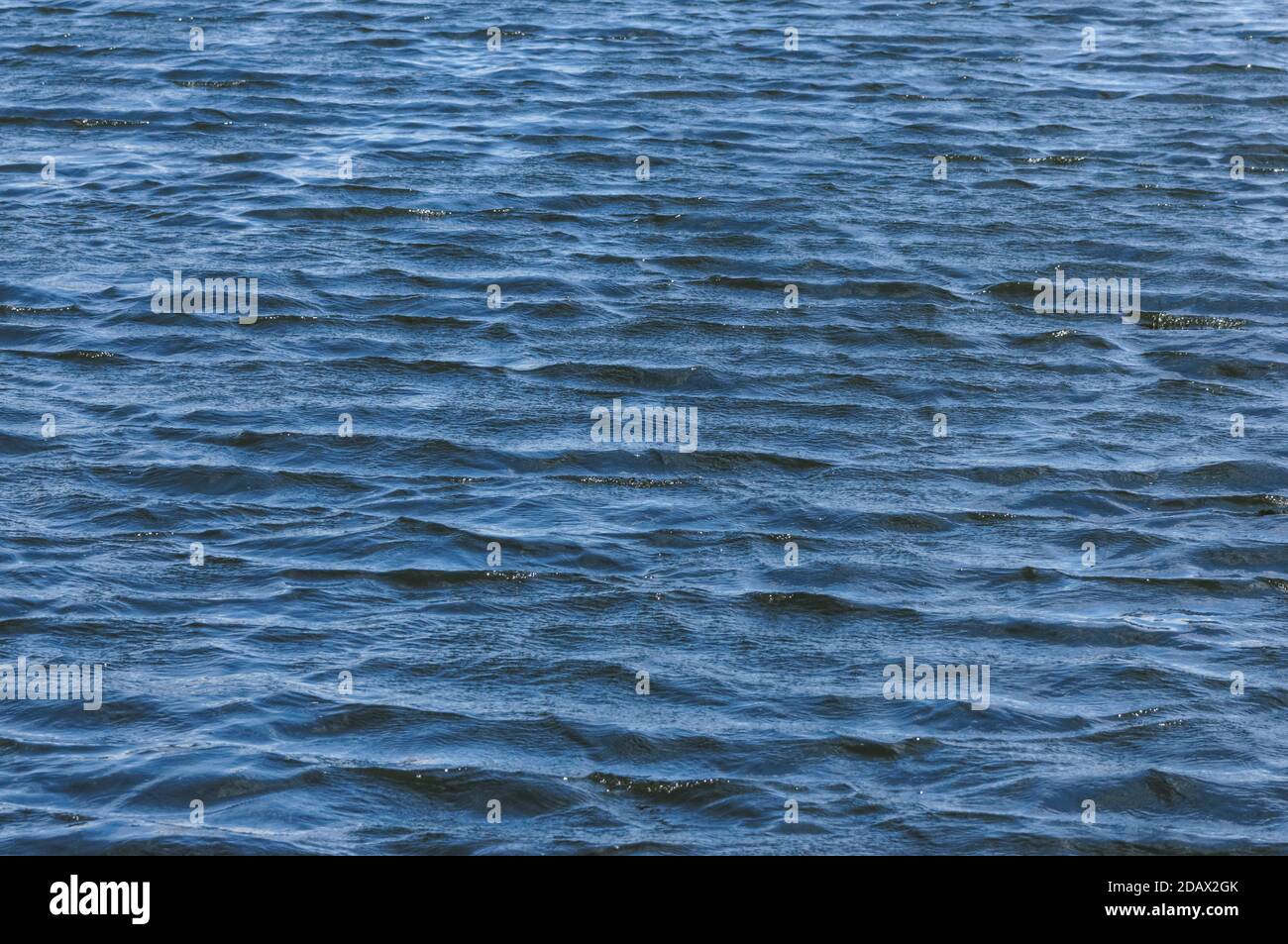 Wind ripples on the water hi-res stock photography and images - Alamy