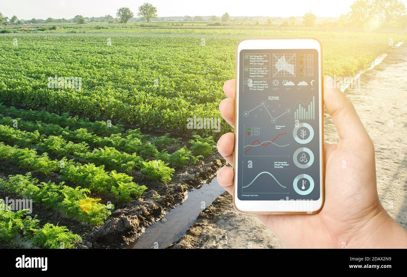 Phone with data and infographics on the background of a farm field ...
