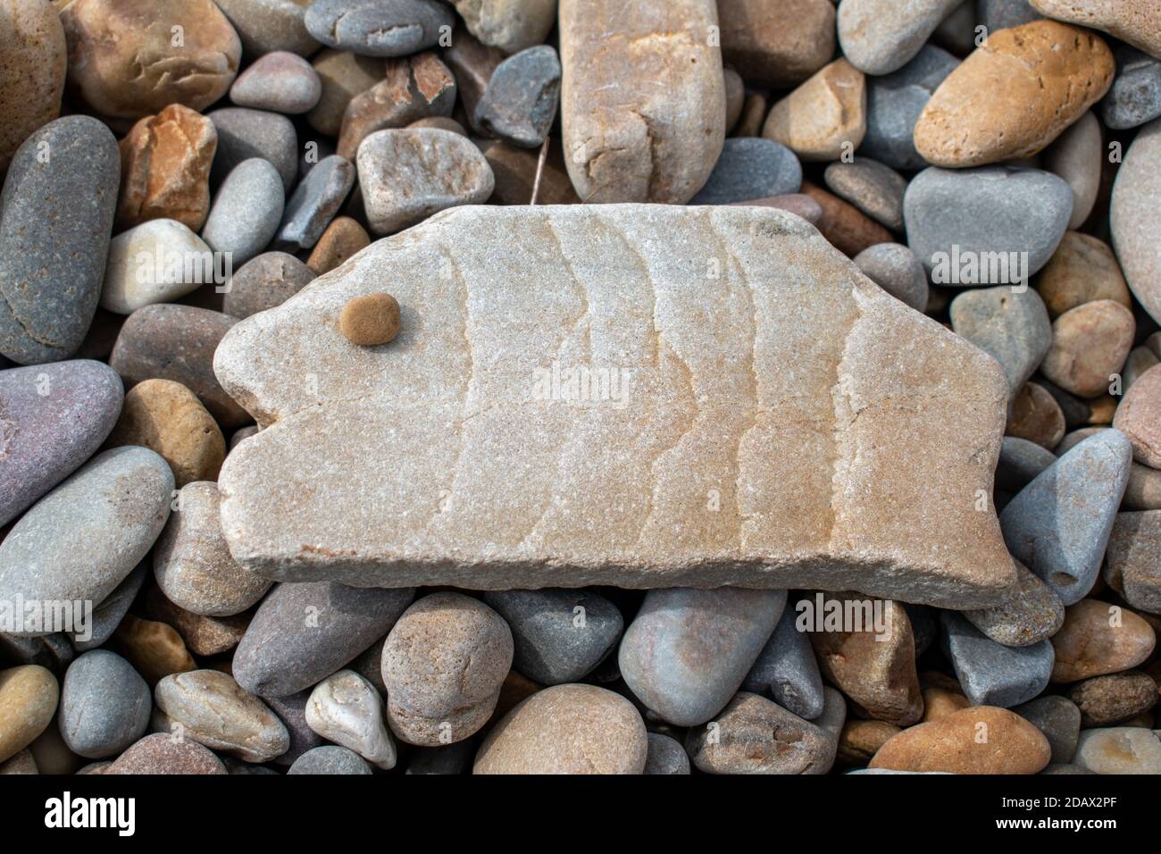 Top view of a fish-shaped stone on colorful rocks, stones and pebbles ...