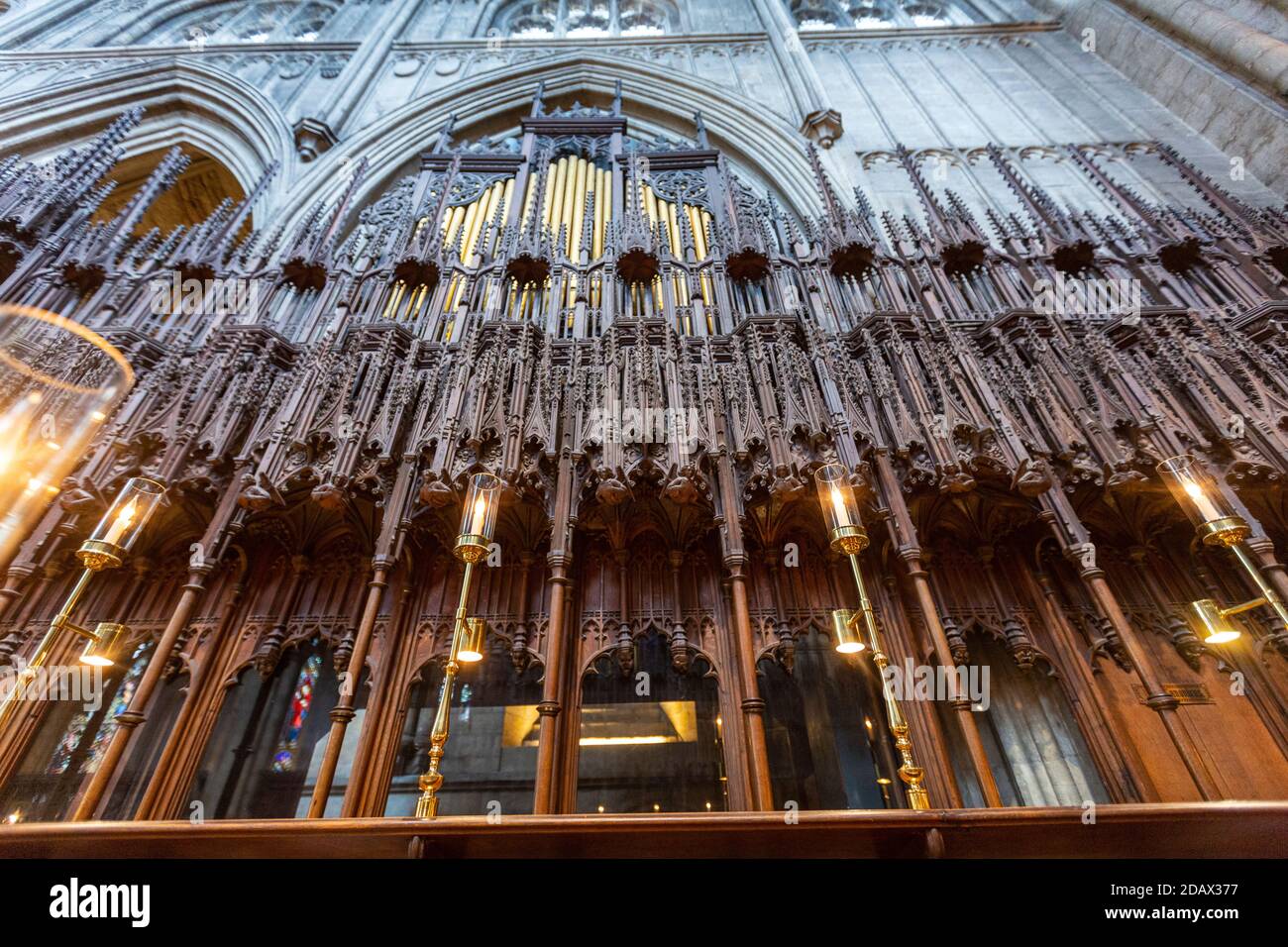 Choir stall, Ripon Cathedral, Ripon, North Yorkshire, England, UK Stock ...