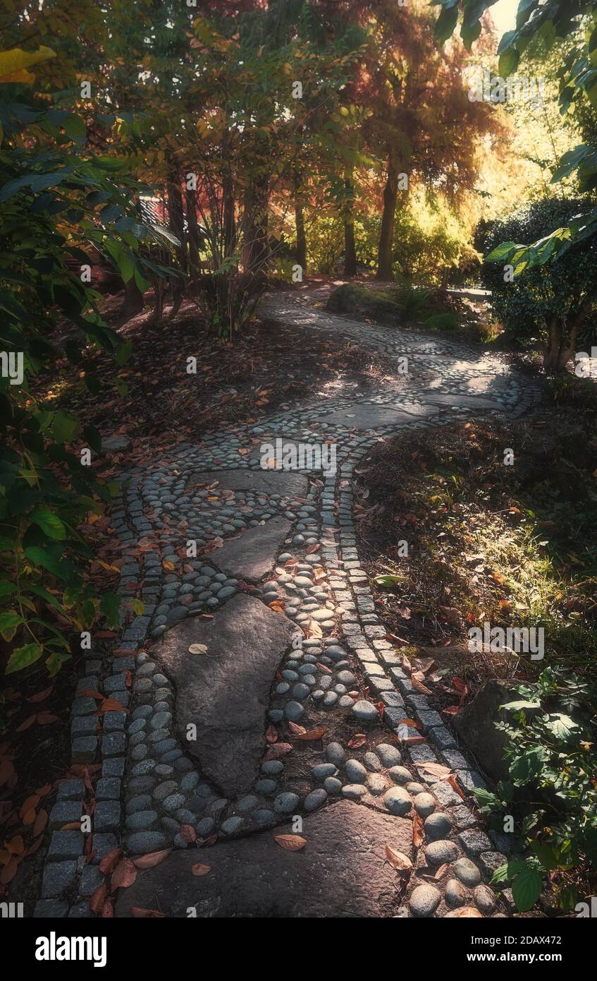 Decorative footpath through the park in autumn colors somewhere in the ...