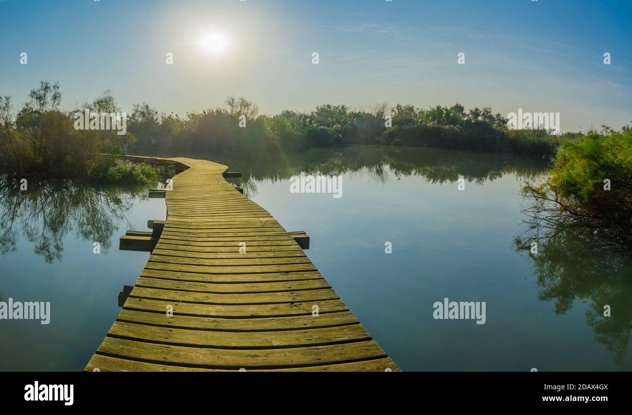 Pathway to pond hi-res stock photography and images - Alamy