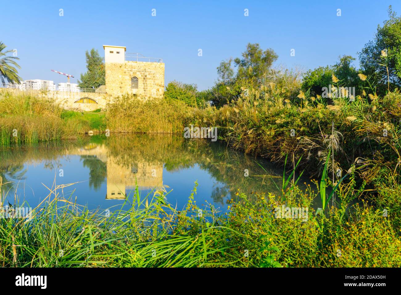 Flour mill israel ancient hi-res stock photography and images - Alamy