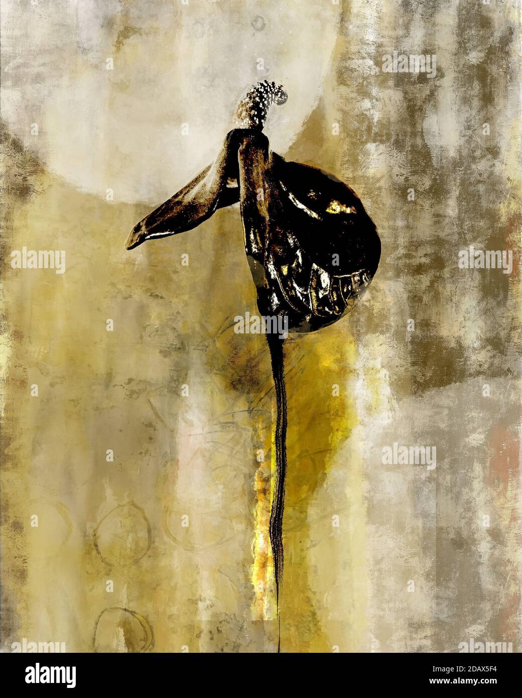 Abstract single flower in monochrome tones Stock Photo - Alamy