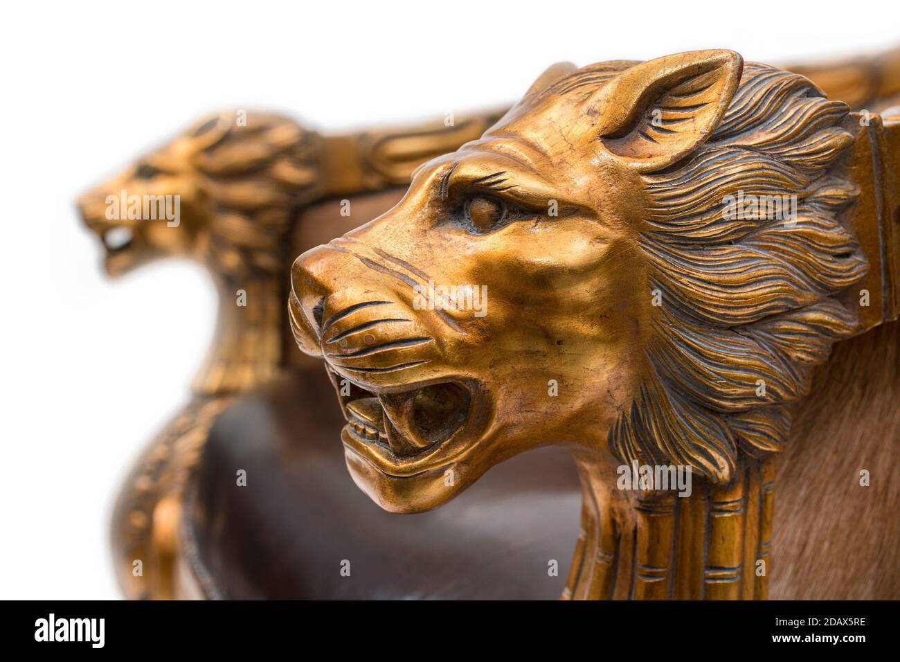 Medieval Lion Head