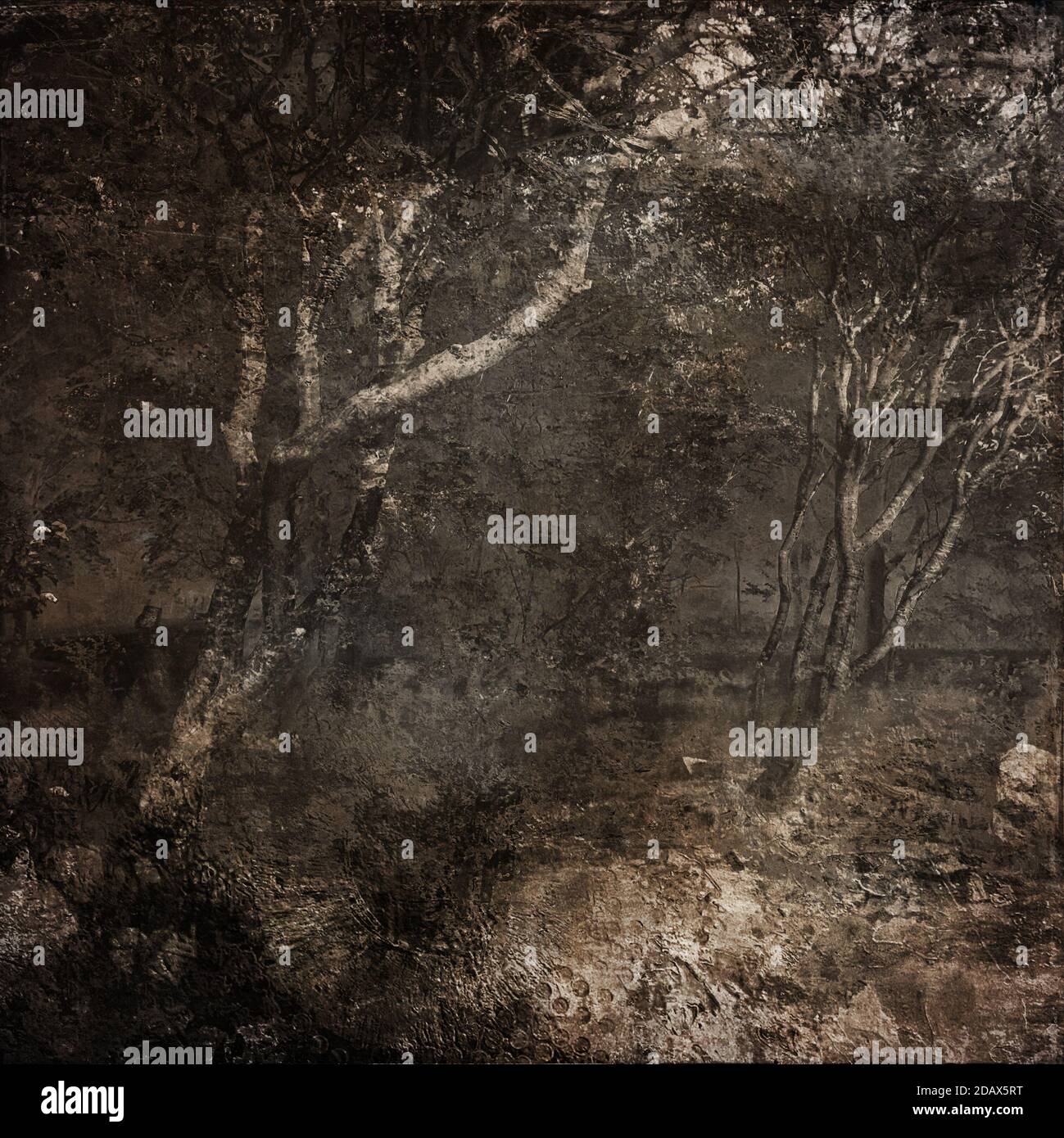 Abstract trees hi-res stock photography and images - Alamy