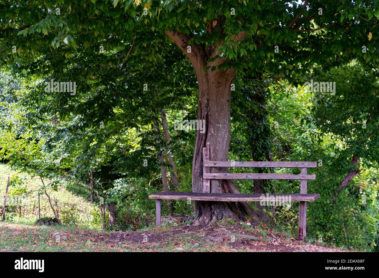 Old rustic wooden bench hi-res stock photography and images - Alamy