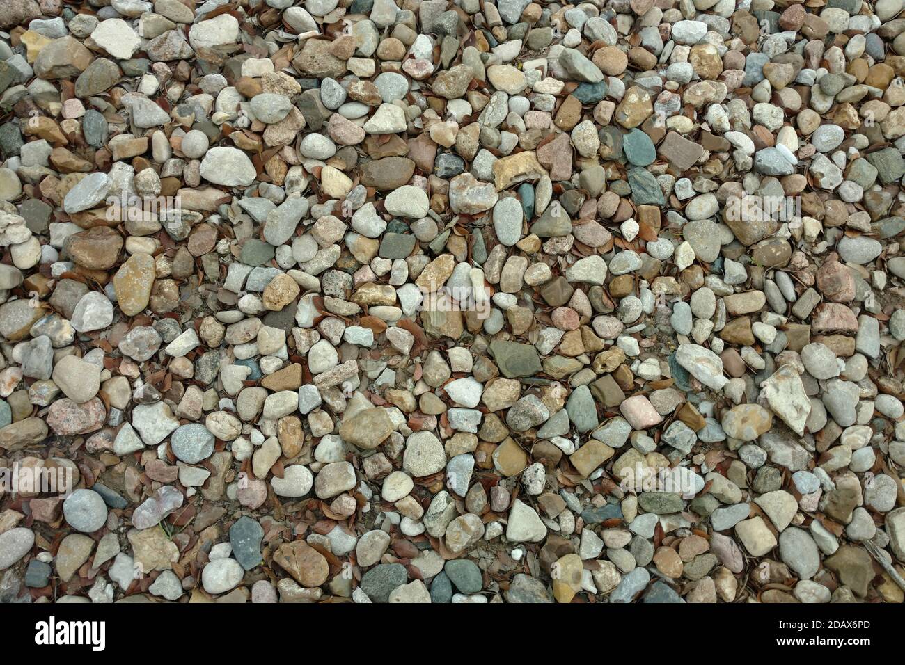 Pebble garden path hi-res stock photography and images - Alamy