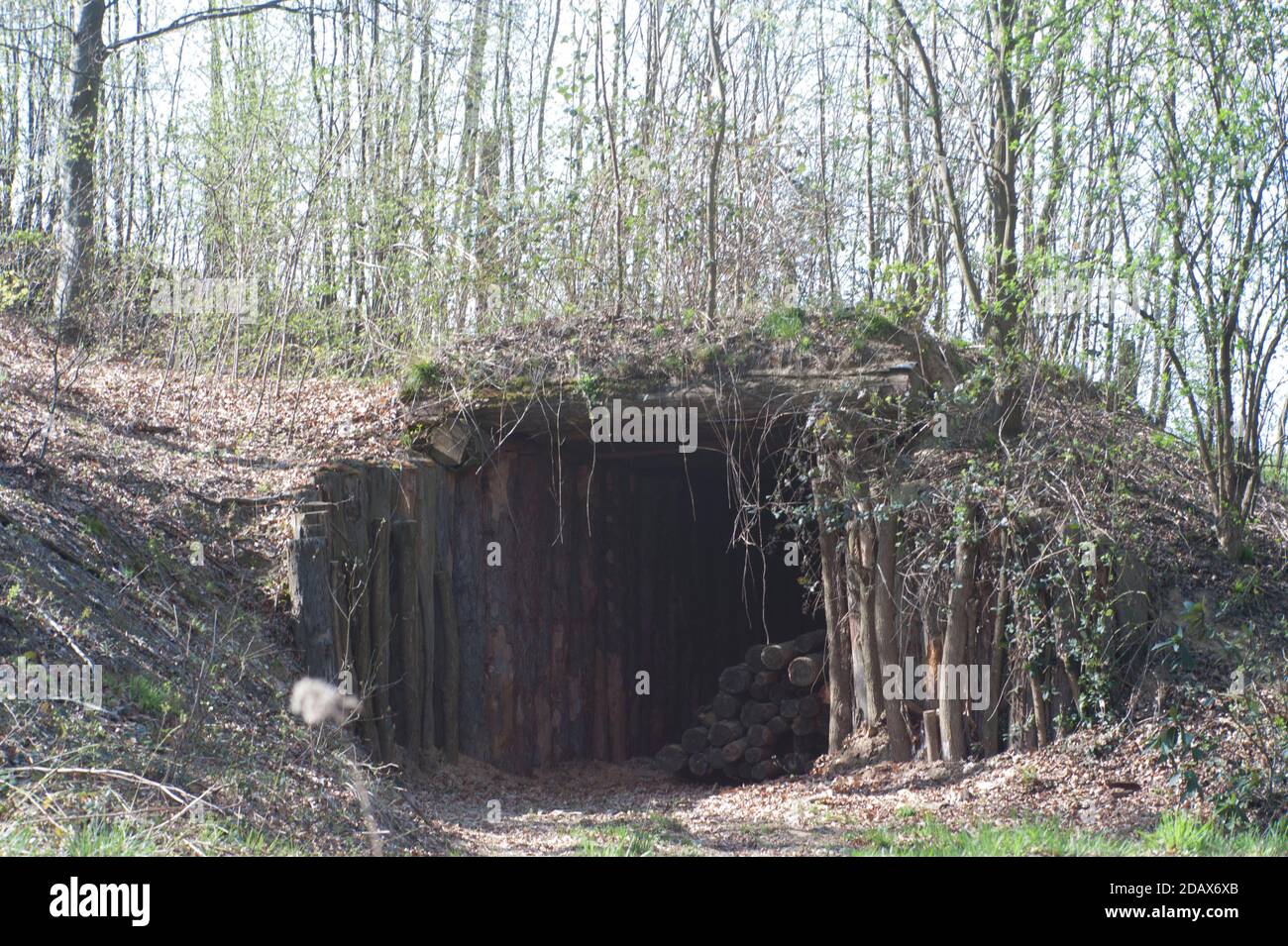 earth staple in wood construction, futuristic and experimental building ...