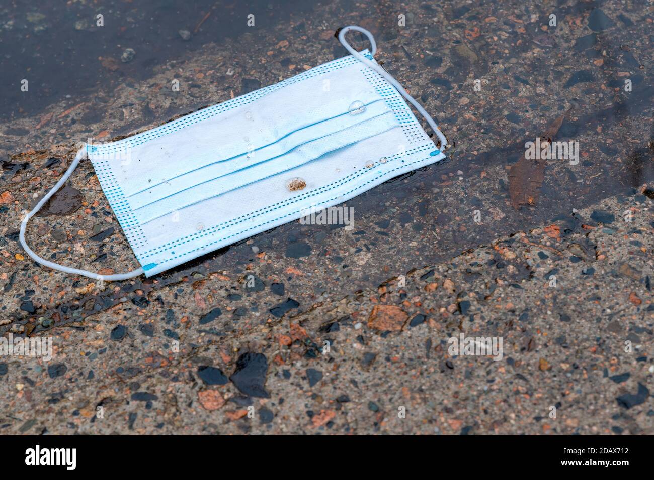 A light blue discarded medical face mask lying in a puddle by a ...