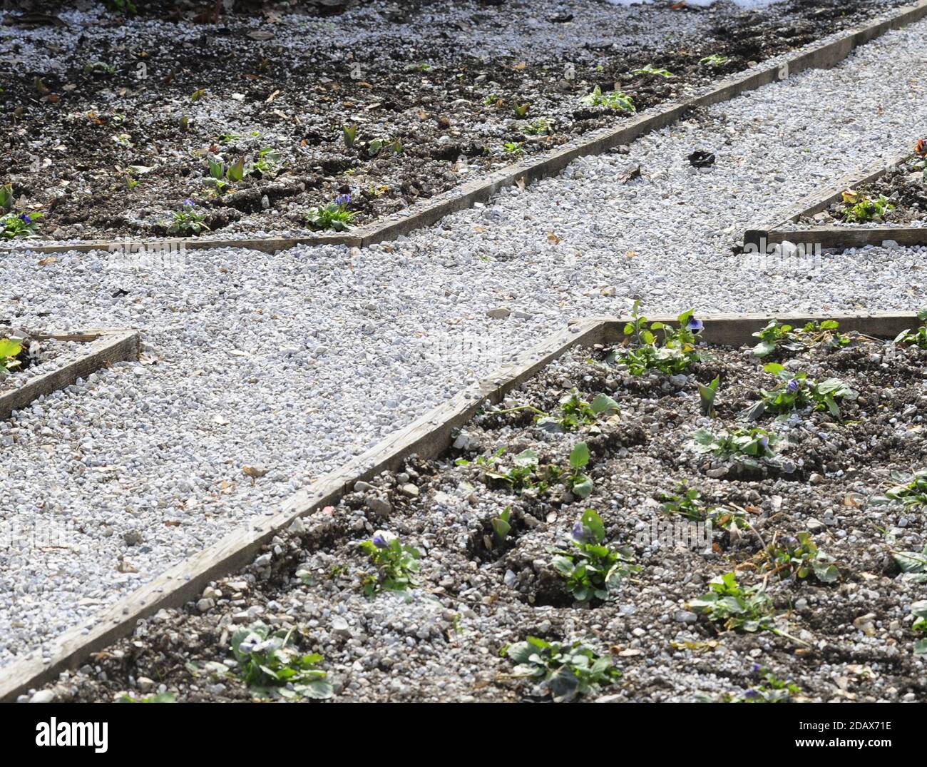object in a cross shape or form, pattern and texture on a surface Stock ...
