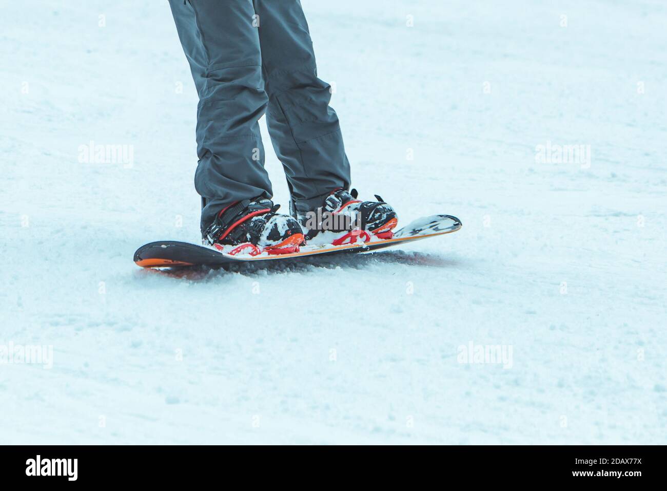 Legs crop hi-res stock photography and images - Alamy