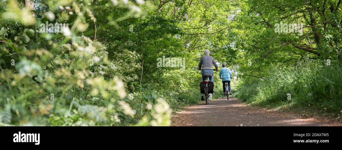 women on bicycle on narrow bike path through spring trees in the centre ...