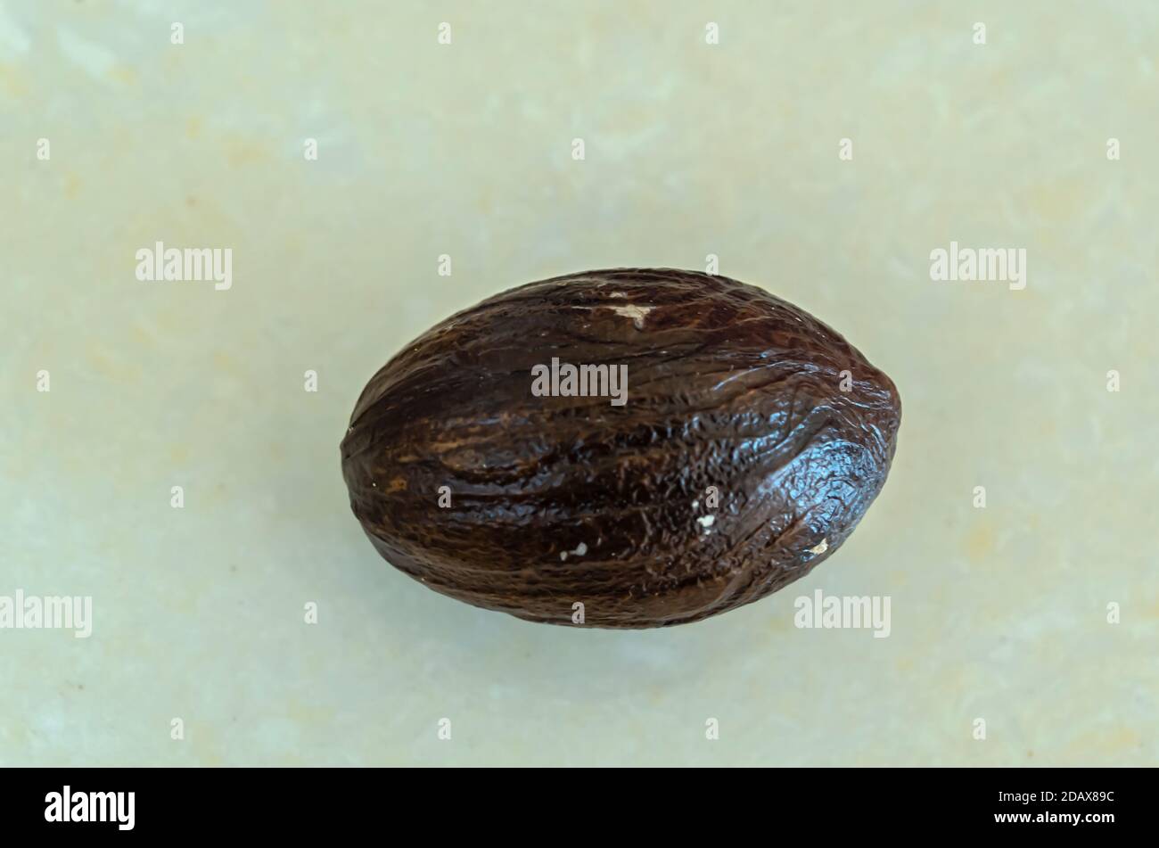 Nutmeg In Shell Stock Photo - Alamy
