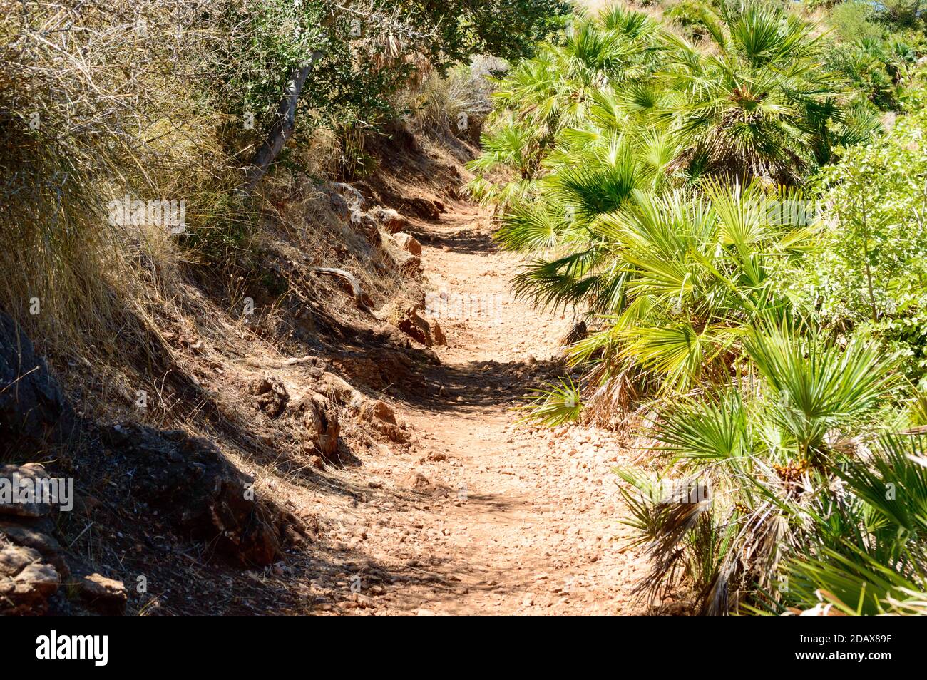 Coastal hiking trail in the Zingaro natural reserve in Sicily Italy ...