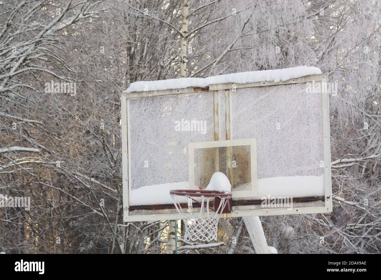 Basketball shield hi-res stock photography and images - Alamy