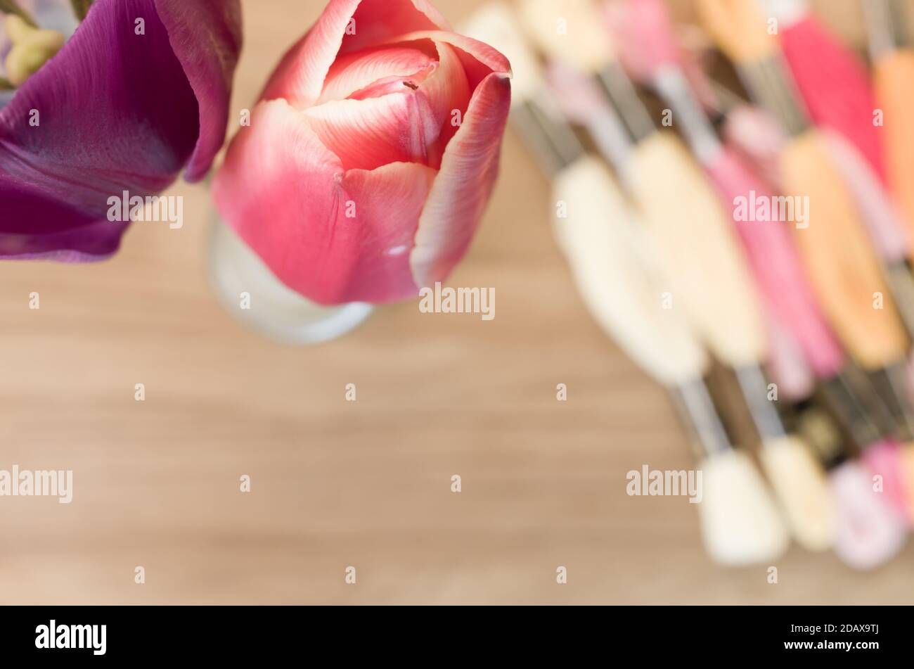 Soft focus of tulip flowers against a blurry wooden table with ...