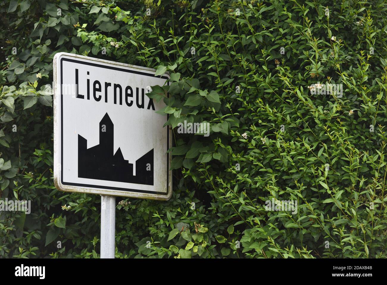 Illustration shows the name of the Lierneux municipality on a road sign ...
